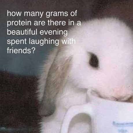 Best Funny protein Memes - 9GAG
