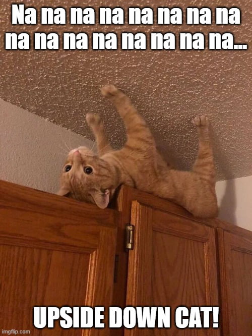 Do you even gravity bro? - 9GAG