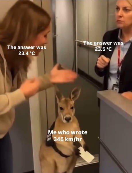 Best Funny kangaroo Memes - 9GAG