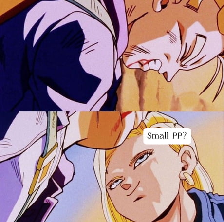 Best Funny small pp Memes - 9GAG
