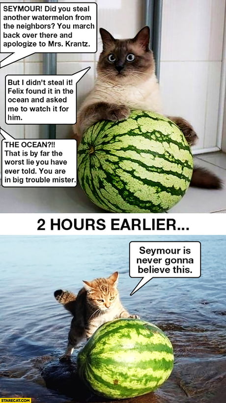Best Funny watermelon Memes - 9GAG
