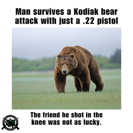 Rude Humor Memes Best Funny Pictures,Funny Images,Funny Memes | Bad