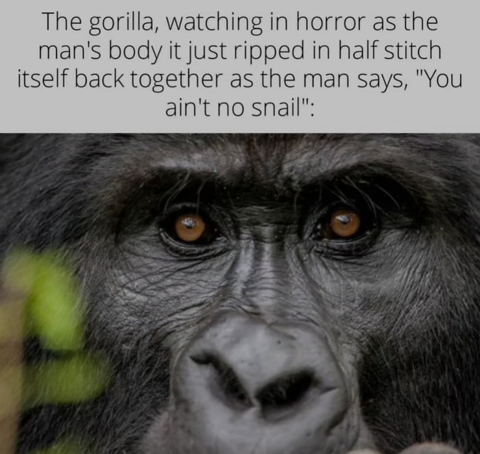 *insert piano music here* - 9GAG