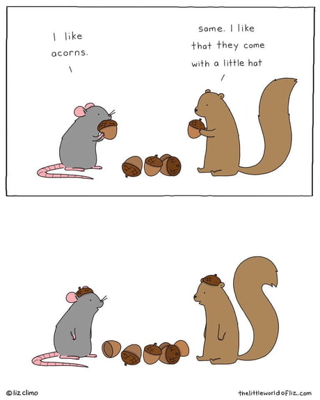 Best Funny acorn Memes - 9GAG