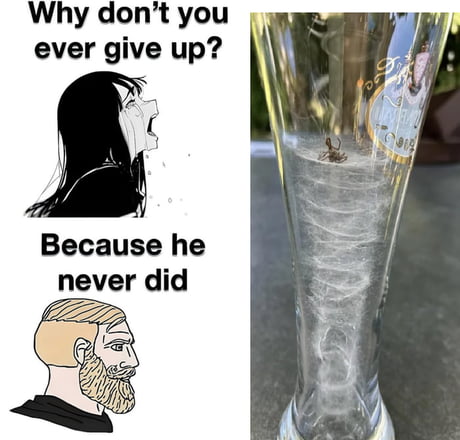 Best Funny never give up Memes - 9GAG