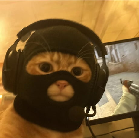 Best Funny counter strike Memes - 9GAG