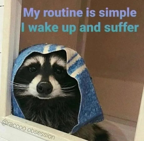 Best Funny rachel zegler Memes - 9GAG