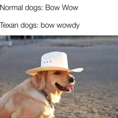 Old Cowboy Memes Old Cowboy Imgflip
