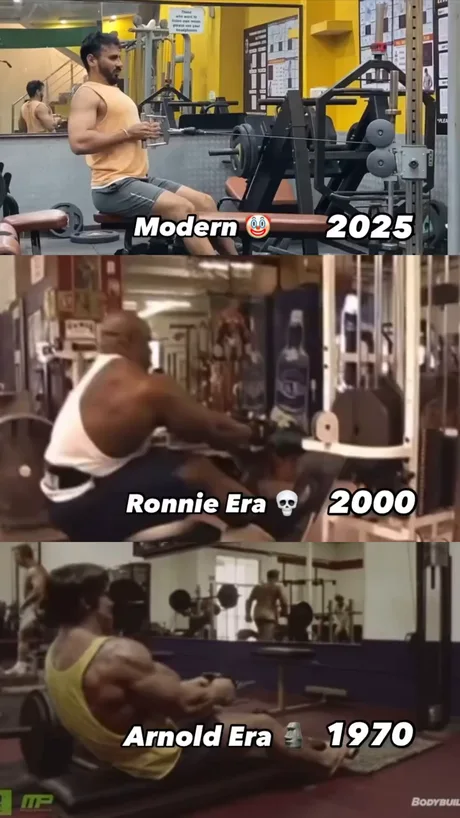 Angry Arnold Memes Arnold Schwarzenegger Starring In Animated Series