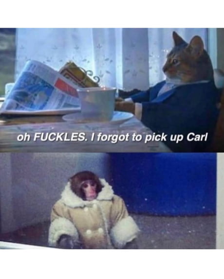 Best Funny carl Memes - 9GAG