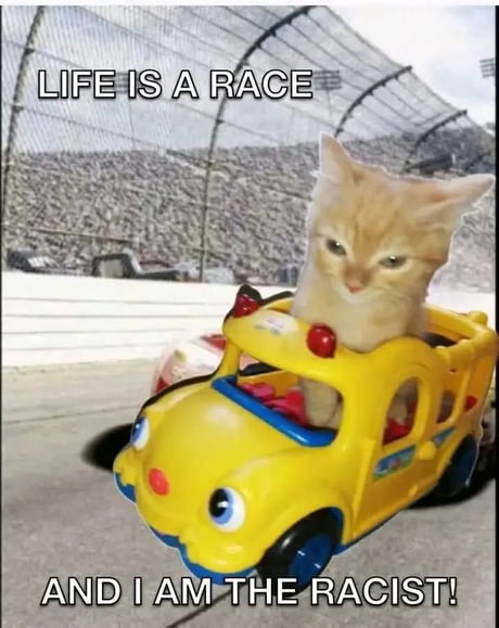 Best Funny meow Memes - 9GAG