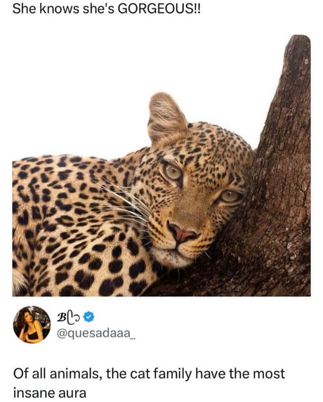 Best Funny fair Memes - 9GAG