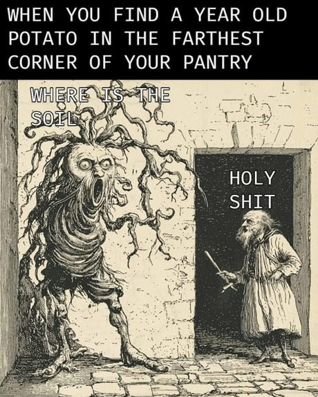 Best Funny potato Memes - 9GAG