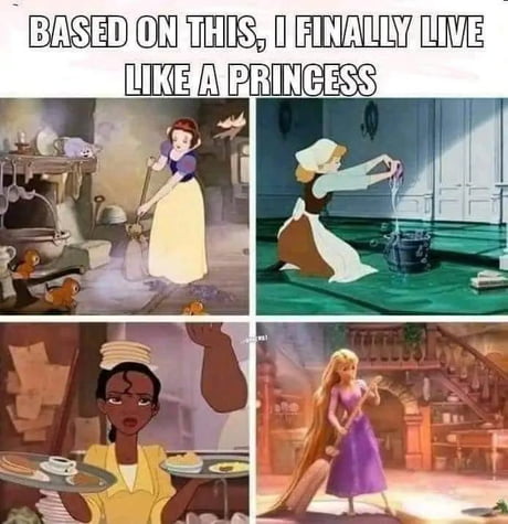 Grappige Disney Prinses Memes