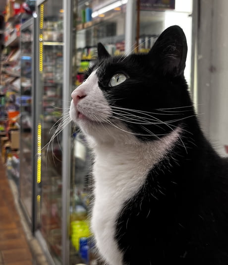 Best Funny amsterdam Memes - 9GAG