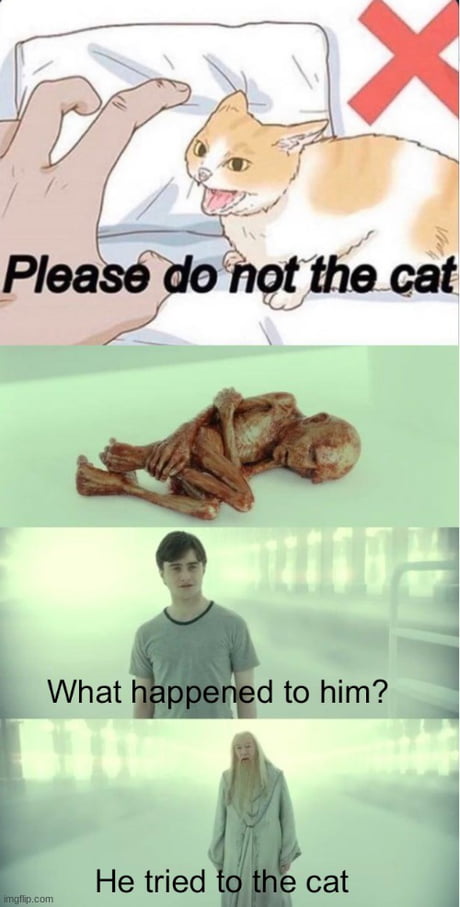 Best Funny find out Memes - 9GAG