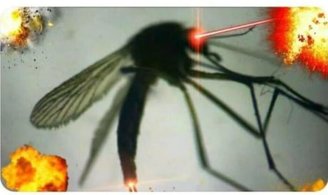 Giant Mosquito Memes Funny Giant Mosquito I Hate Mosquitoes Product