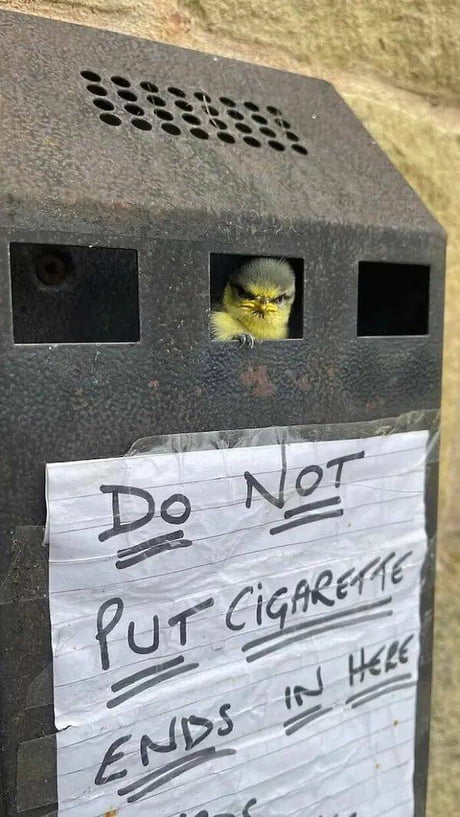 Best Funny smoking Memes - 9GAG