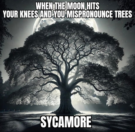 Best Funny tree Memes - 9GAG