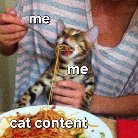 Best Funny spaghetti Memes - 9GAG