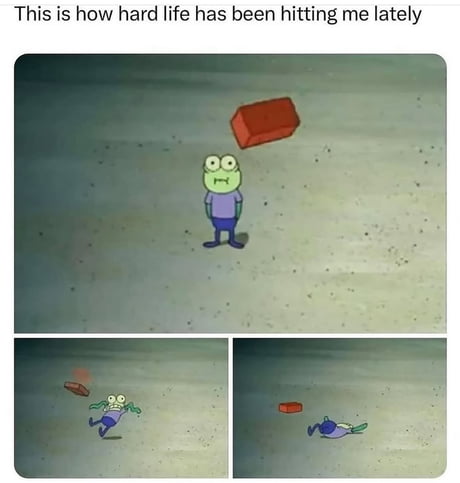 Best Funny life is hard Memes - 9GAG