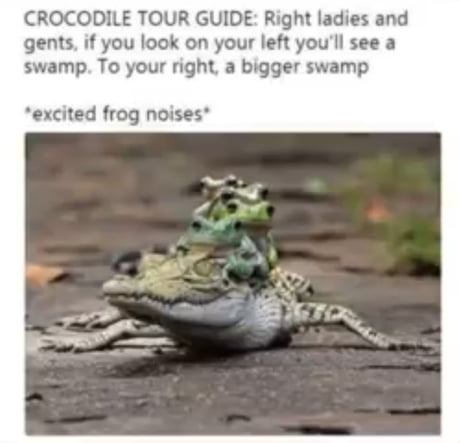 Best Funny knee Memes - 9GAG