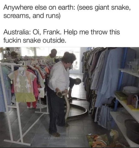 Best Funny snake Memes - 9GAG