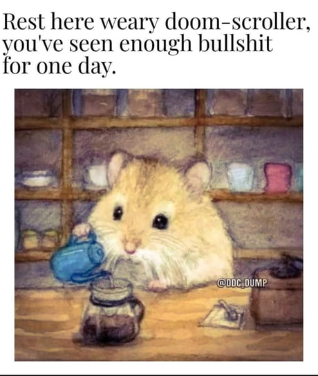 Best Funny hamster Memes - 9GAG