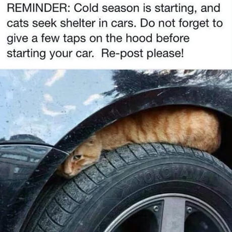 Best Funny safety first Memes - 9GAG