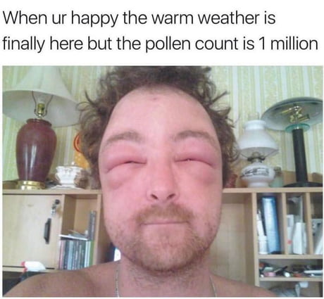 Best Funny pollen Memes - 9GAG