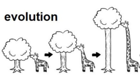 Best Funny giraffe Memes - 9GAG