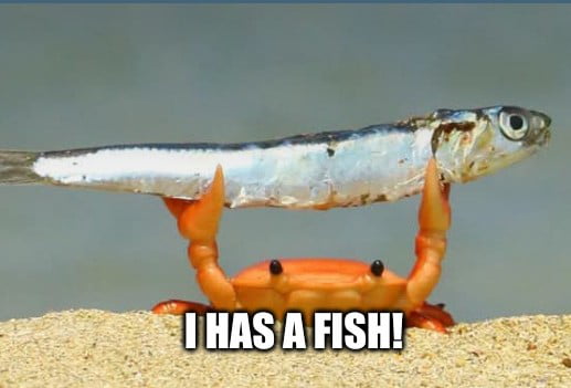 Yes, he does. - 9GAG