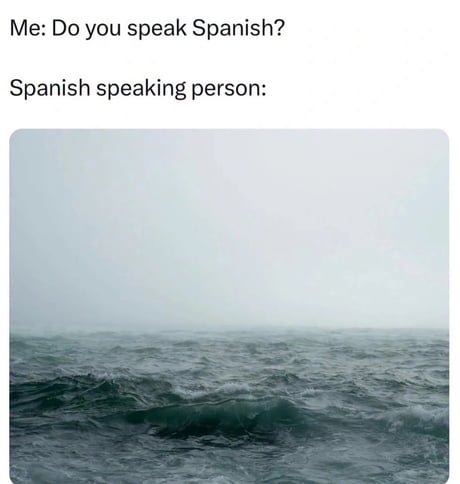 Funny Sea Memes