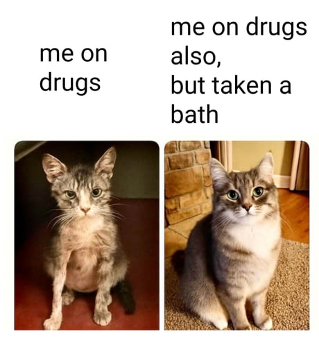 Best Funny drugs Memes - 9GAG