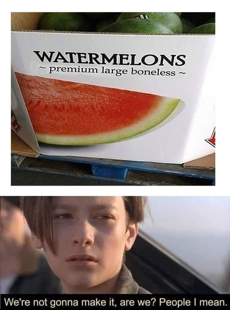 Best Funny watermelon Memes - 9GAG