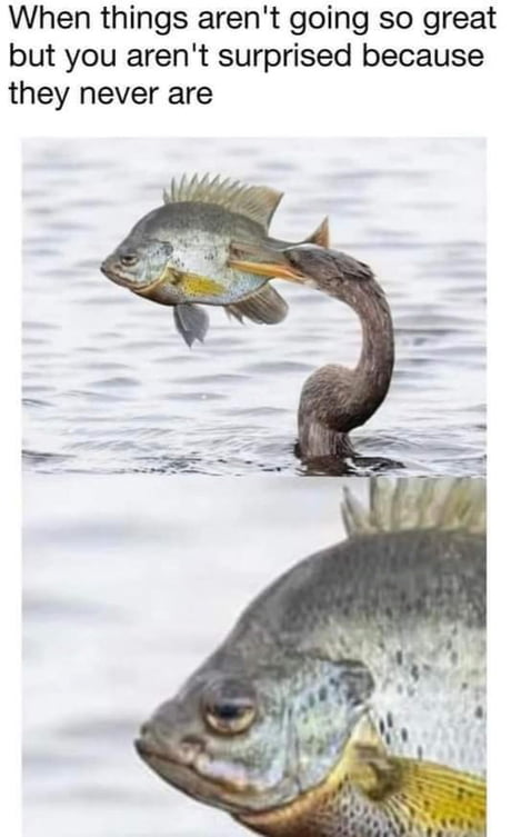 Best Funny dark Memes - 9GAG