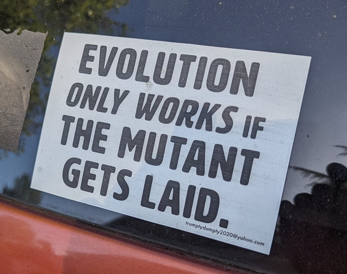 Darwin approves. - 9GAG