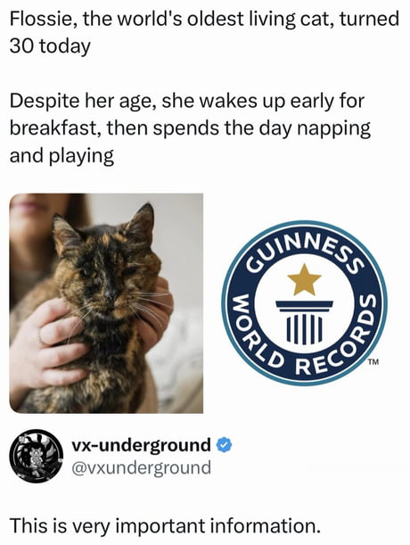 Best Funny guinness Memes - 9GAG