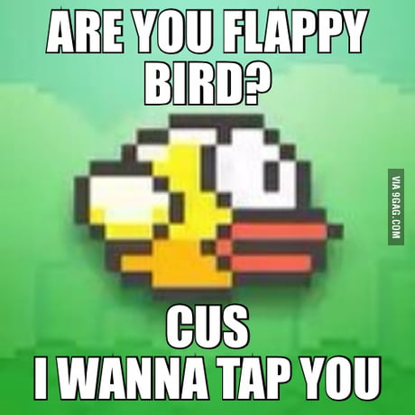 Flappy Bird Meme Flappy Bird GIFs Find & Share On GIPHY