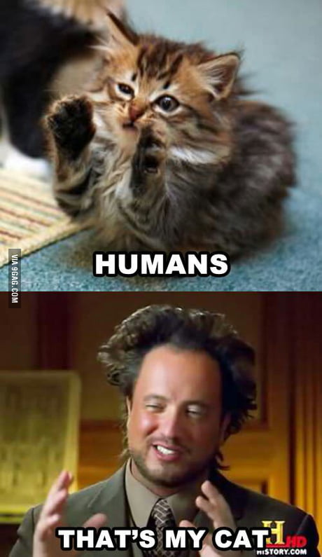 History Channel Meme Aliens