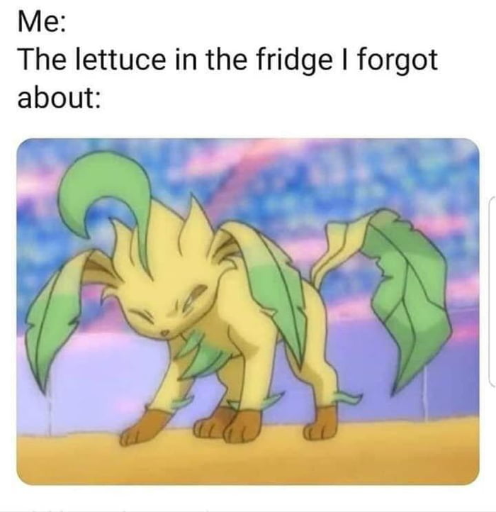 Leafeon is the best eeveelution Change my mind! - 9GAG