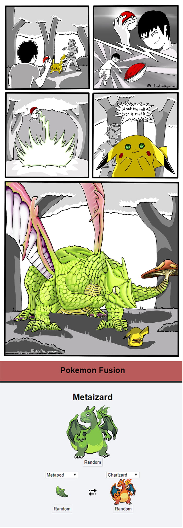 Metapod Charizard Fusion - 9GAG