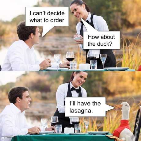 Best Funny duck Memes - 9GAG