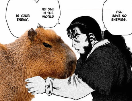 Best Funny capybara Memes - 9GAG