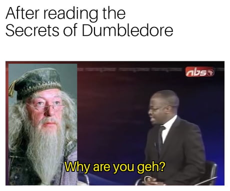Funny Dumbledore Memes Harry Potter Memes And Stuff Dumbledore