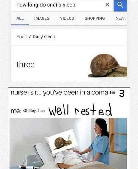 Snails Memes Need A Funny Snail Name? We've Got The Goods