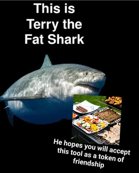 Shark Grab Memes Mick Fanning Shark Attack Meme Round Up: After The