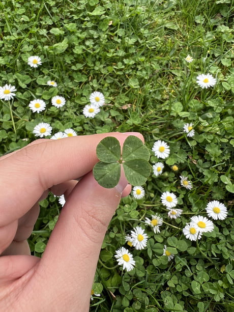 oopsie_wrong_hole - 9GAG