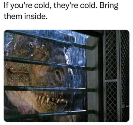 Best Funny t rex Memes - 9GAG