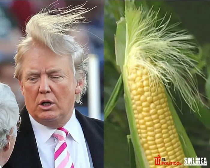 Donald Corn - 9GAG